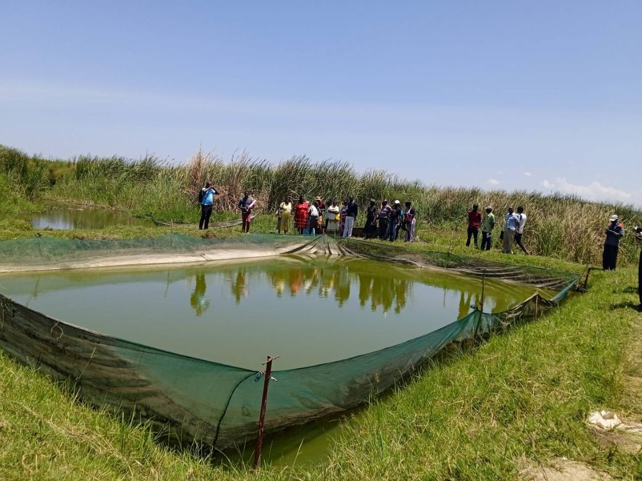 Revamping Yala Swamp for Sustainable Development | Western Wildlife ...
